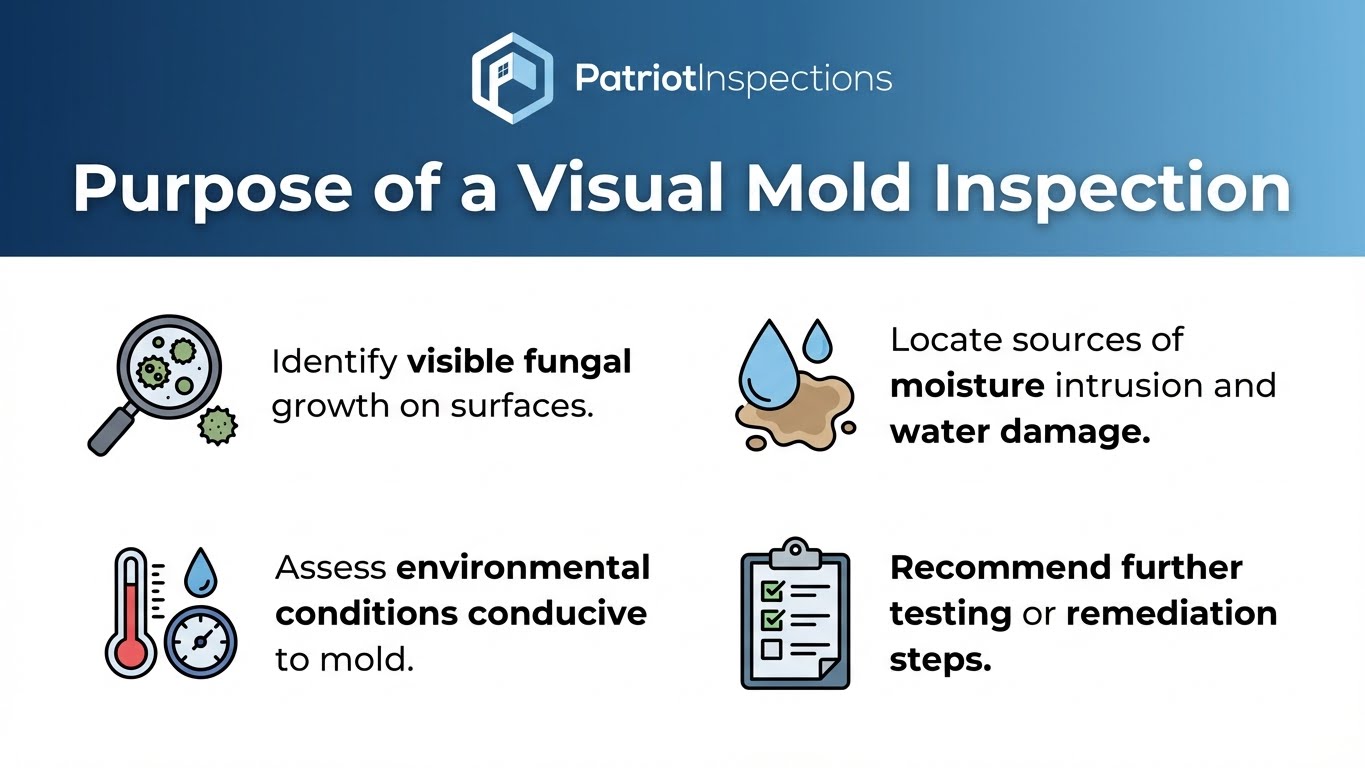 Visual Mold Inspection Overview | Naples, FL